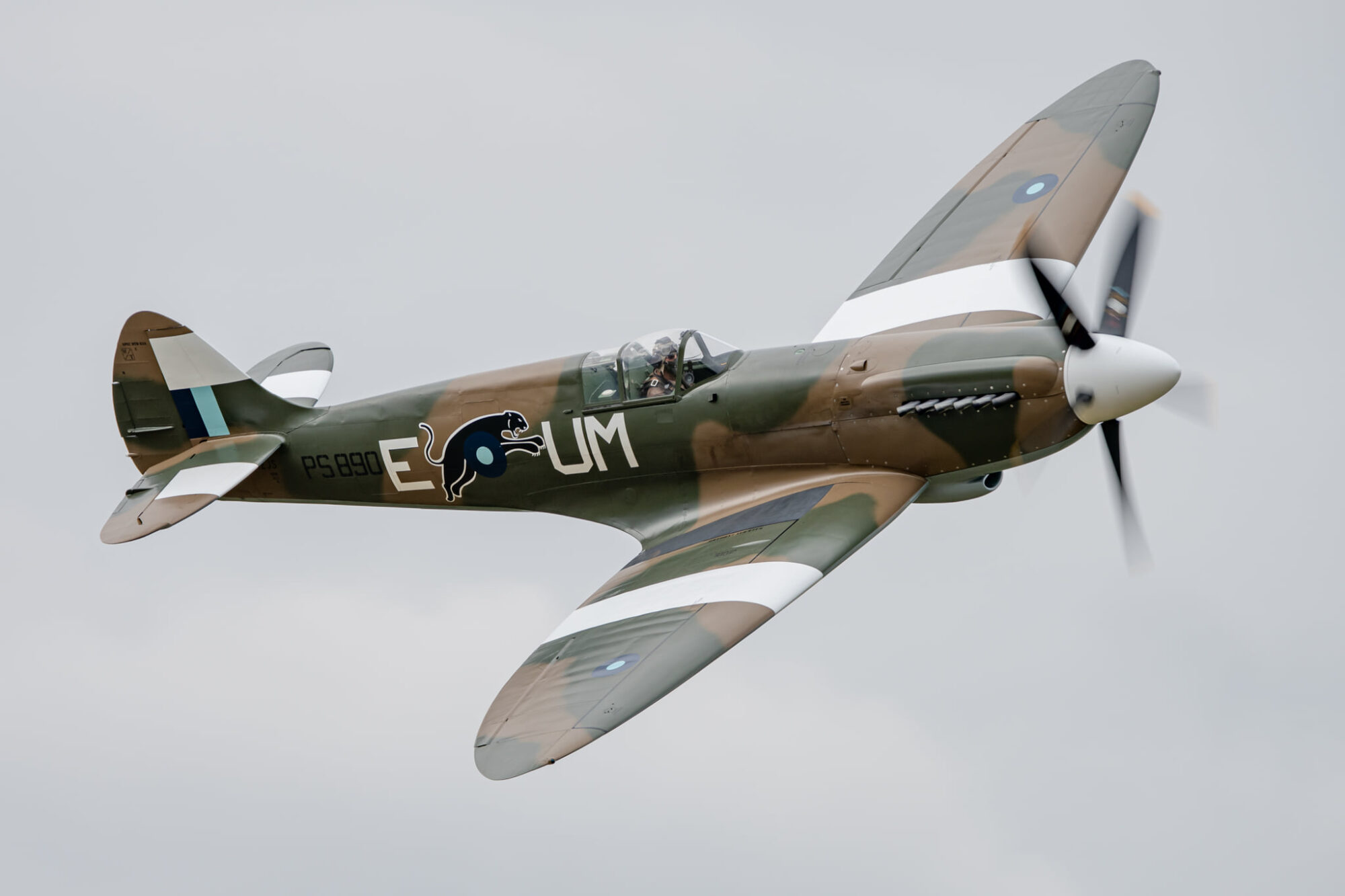 Spitfire Mk XIX PS890 ( Photo © Frédéric Debruyne pour LEB ) – L ...