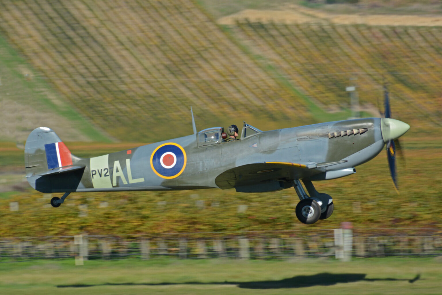 Les Spitfire en état de vol dans le monde en 2022: les Spitfire Mk VIII ...
